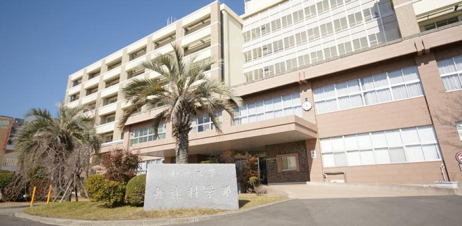 日本音楽知覚認知学会2024年度秋季研究発表会 | Peatix