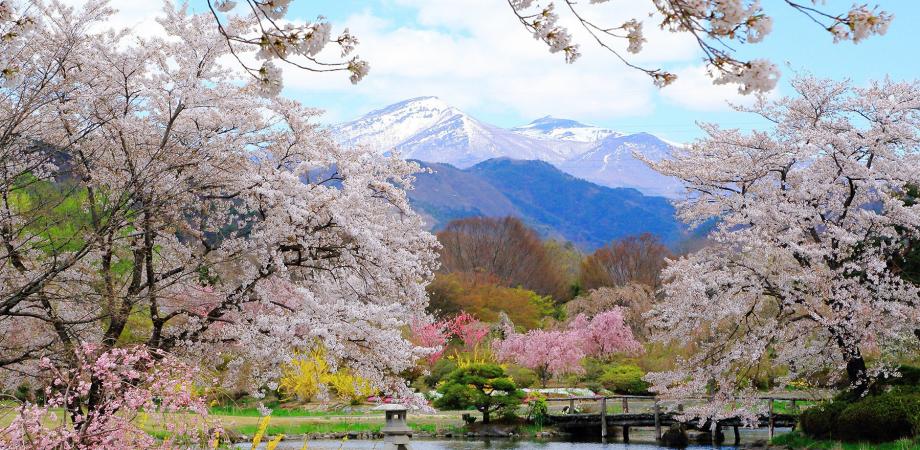 第34回東北アフェレシス研究会・技術講習会（ZOOMによるWEB開催) | Peatix