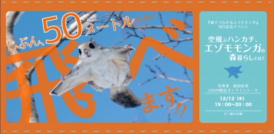 写真家・原田佳実 ZOOM配信オンライントーク「空飛ぶハンカチ、エゾモモンガの森暮らしとは？」 | Peatix