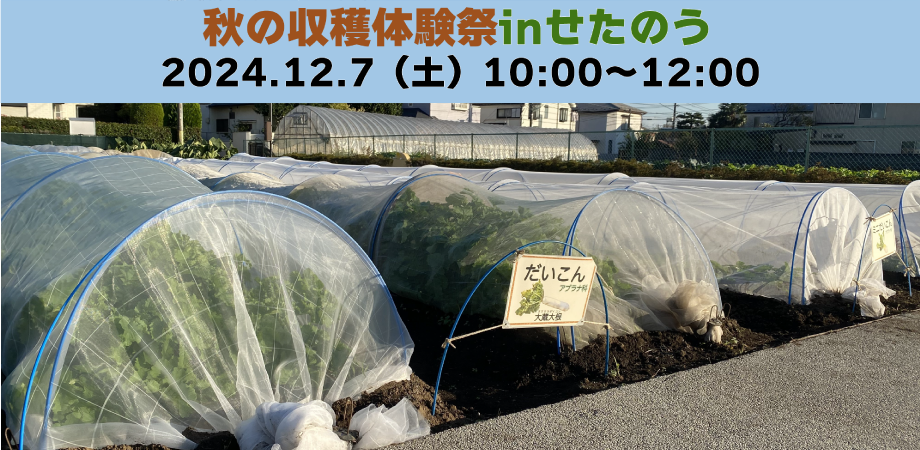 秋の収穫体験祭inせたのう | Peatix