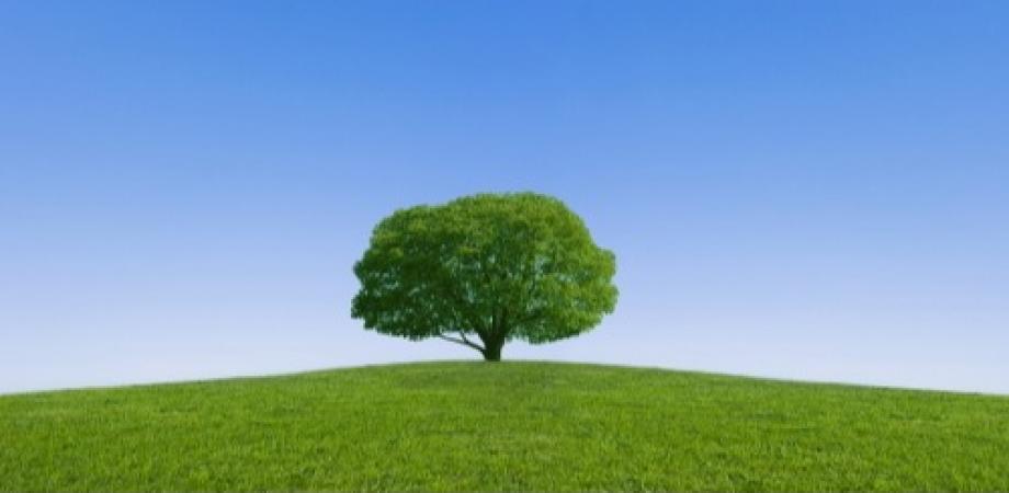 「自立への道」上映会 | Peatix