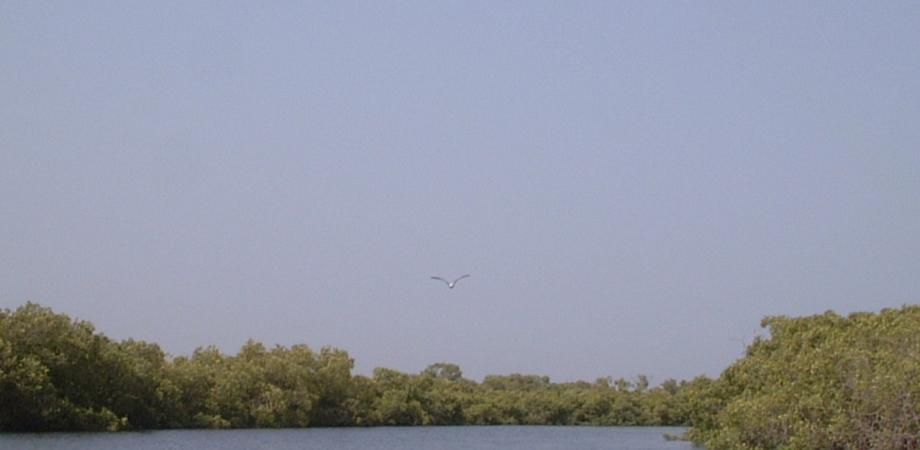 KIkuyo ∞ Irune #40 | Peatix