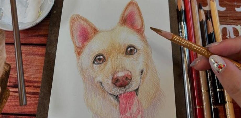 保護犬猫のためのアートワークショップ2024年12月 | Peatix