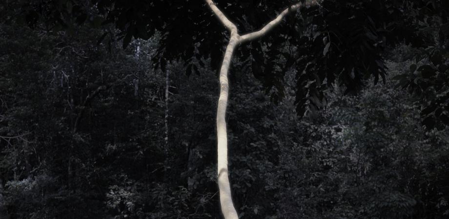 From Sight to Insight: A photography masterclass by Chris Yap on ...