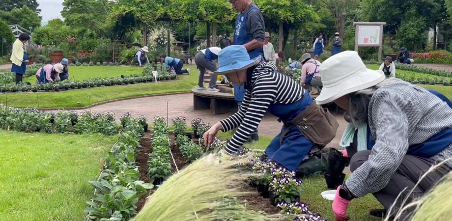 フラワーランド花づくり教室 | Peatix