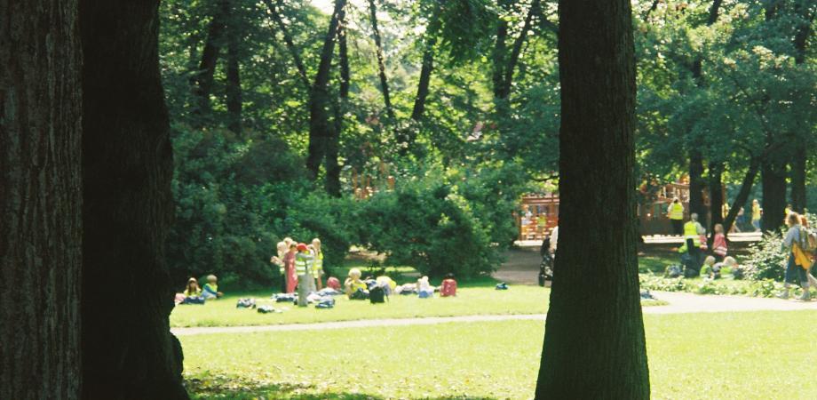 【11:00-12:00】フォレストヨガ（奥日立きららの里アウトドアフェスティバル） | Peatix