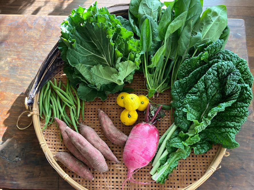 [兵庫]25年第11回My LFCファーマー【体験コース】 | Peatix