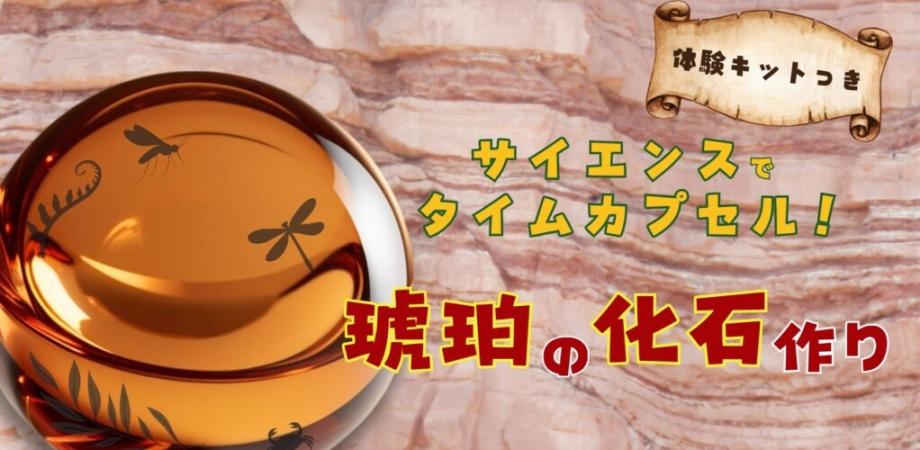 小学生向け【体験キット付き】サイエンスでタイムカプセル！琥珀の化石作り | Peatix