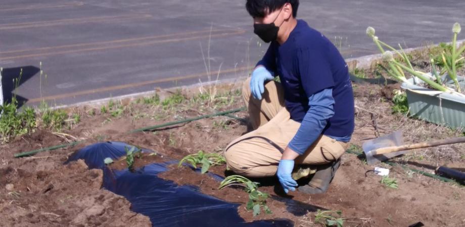 4月12日（土）DCMオーガニックスクール 「菌ちゃんたい肥」 | Peatix