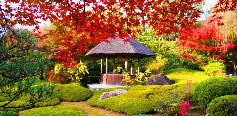 Myoshin-ji Taizo-in Day Tour2 2018/11/24（Sat) | Peatix