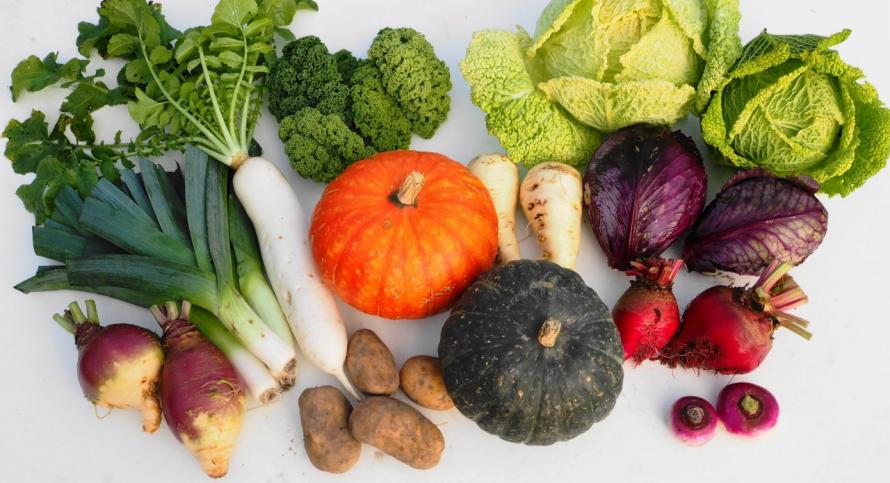 今橋さんの自然農法ラーニングプログラム パート2 | Peatix