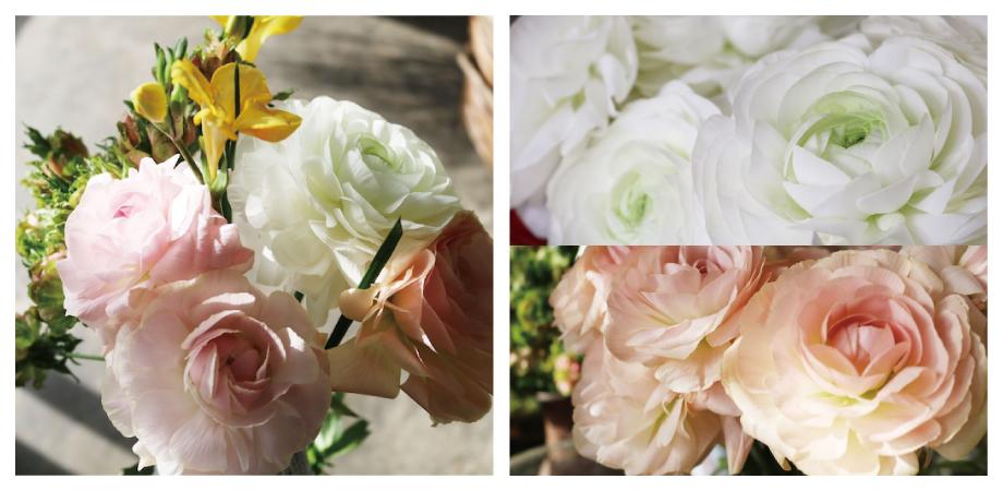 ラナンキュラスとやさしい香りのブーケWS | Peatix