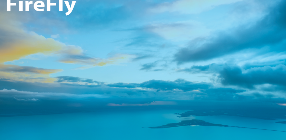 2025年2月会費 | Peatix