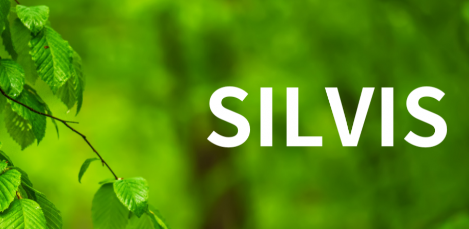 BNI Tokyo N.E. region SILVISチャプター 第149回定例会 | Peatix