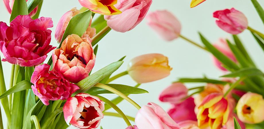 青山フラワーマーケット エスパル仙台 花のABCワークショップ | Peatix