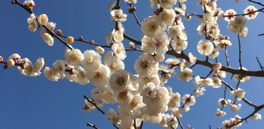 2025年2月23日 ODオープンコミュニティ（対話会） | Peatix