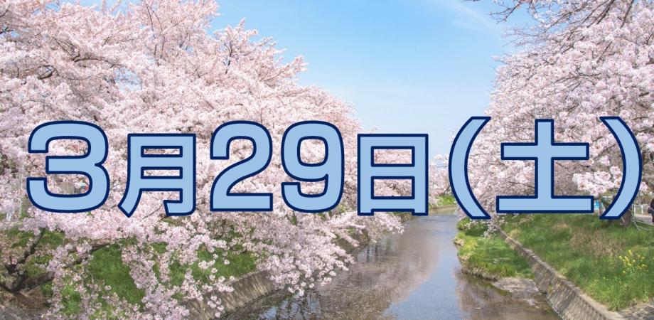 【岩倉桜まつり】臨時駐車場予約（3月29日分） | Peatix