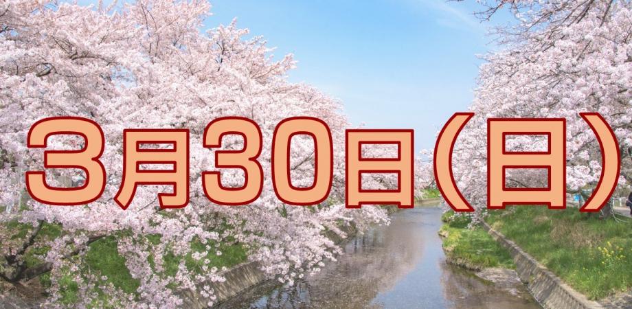 【岩倉桜まつり】臨時駐車場予約（3月30日分） | Peatix