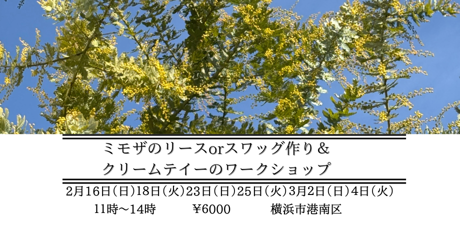 ミモザのリースorスワッグ作り＆クリームティーのワークショップ | Peatix