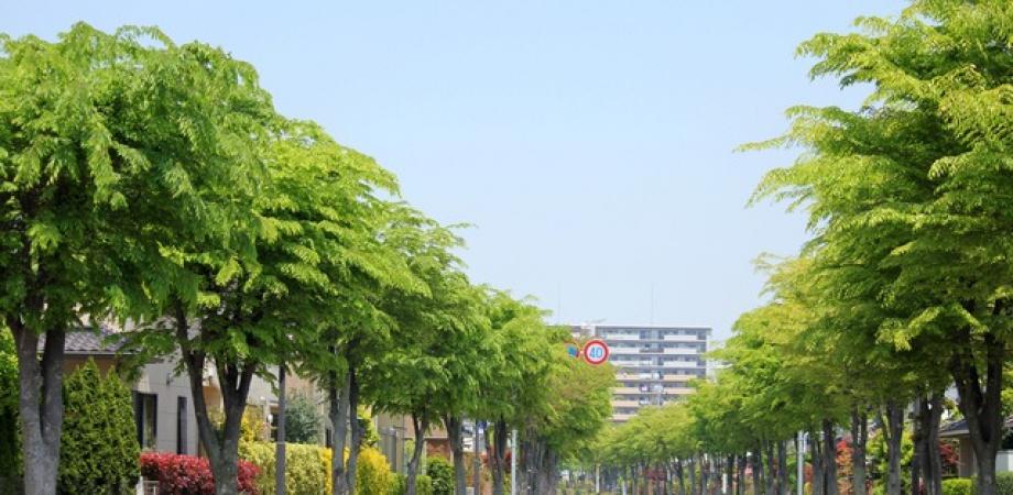 第10回 ノウハウを継承するTF 勉強会 | Peatix