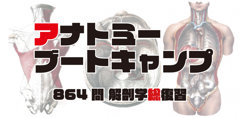 アナトミーブートキャンプ2025 | Peatix