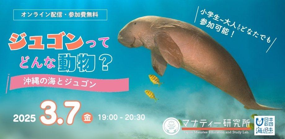 ジュゴンってどんな動物？ - 沖縄の海とジュゴン - | Peatix