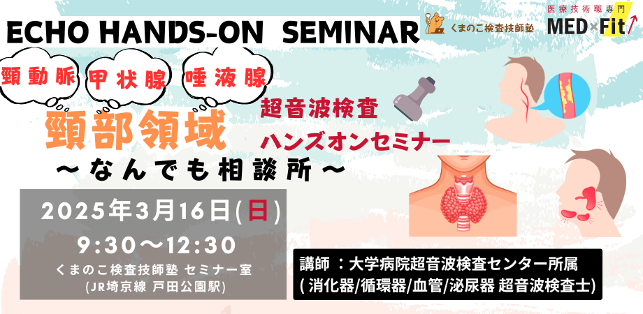 3月16日(日)9：30〜】頸部領域(頸動脈・甲状腺・唾液腺)ハンズオンセミナー 〜なんでも相談所〜『くまのこ検査技師塾』 | Peatix