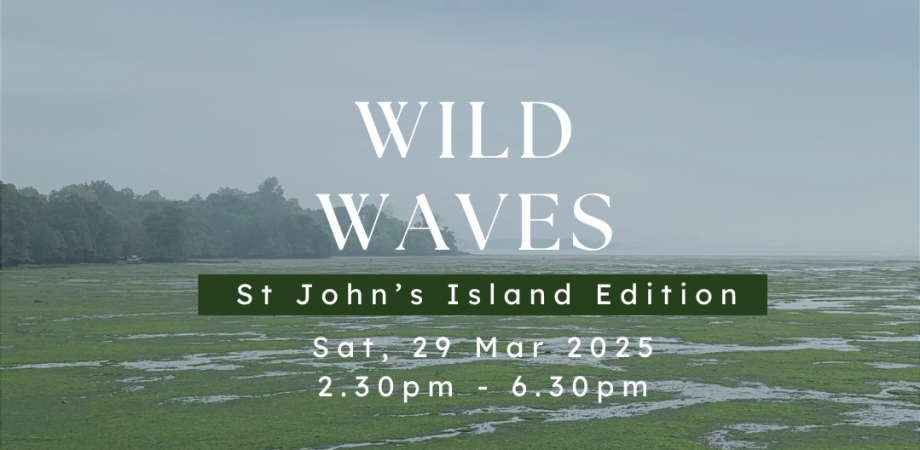 Wild Waves: St John's Island Edition | Peatix