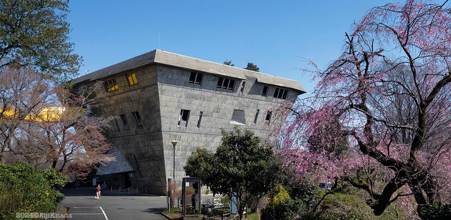 使い継がれる集いの空間〜大学セミナーハウスを起点として〜 | Peatix