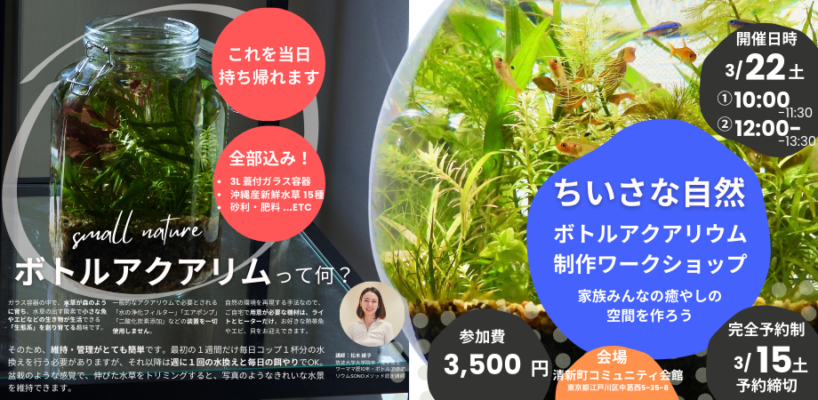 3月22日(土) 開催｜myPØD - わたしのちいさな自然 ｜ ボトルアクアリウム制作ワークショップ | Peatix