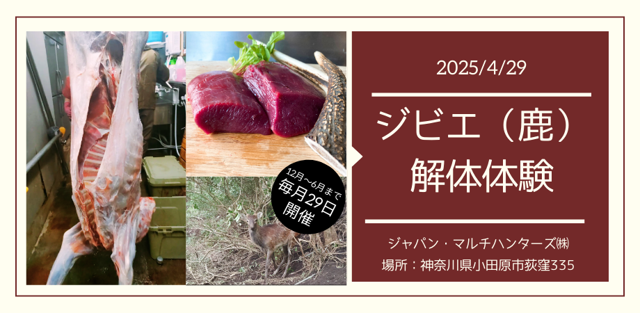 ジビエ解体体験 2025年4月29日 | Peatix