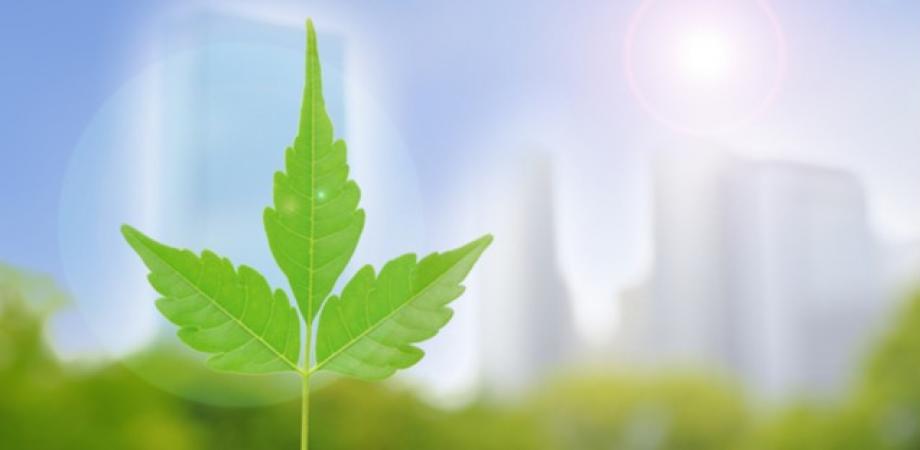 GNT企業研究会 第2回オンラインセミナー「GNT企業概論Ⅱ」 | Peatix