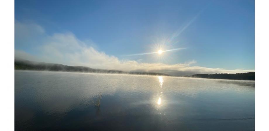 vol.4 聞き飽きているかもしれない多様性について／オンライン講座「言葉の呪縛とセルフケア」 | Peatix