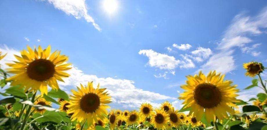 3/28(金)願望拡大ワークショップ | Peatix