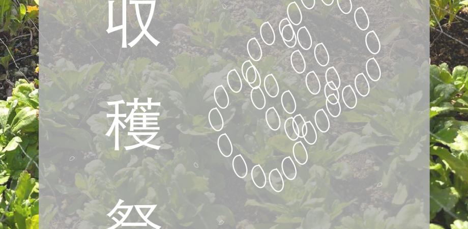 JINNAN HORENSO vol.3 | Peatix