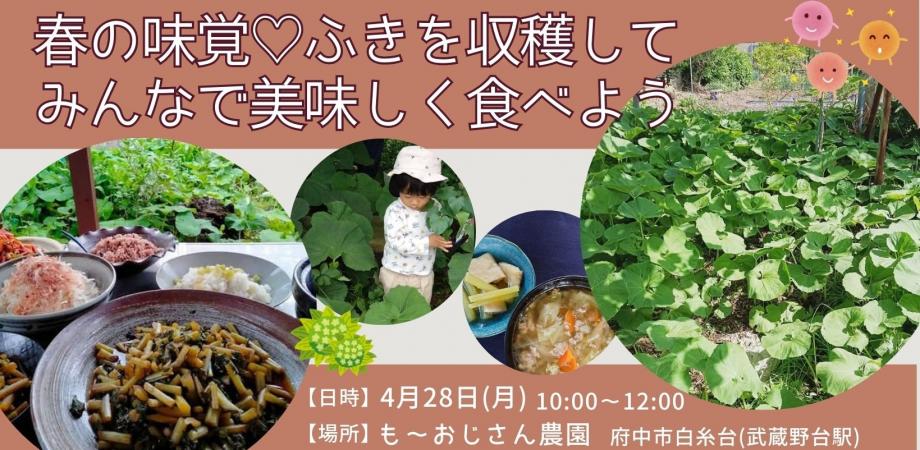 春の味覚♡ふきを収穫してみんなで美味しく食べよう | Peatix