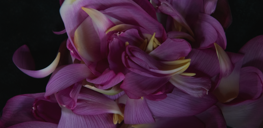 花織の会 ＜3月20日19:00〜＞ | Peatix