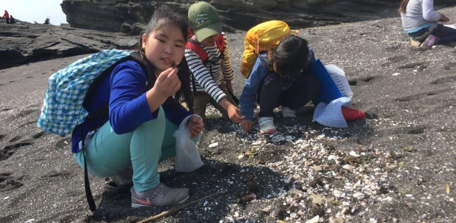 【体験★要予約】ビーチコーミングと海岸散歩ツアー（NPO法人千葉自然学校） | Peatix