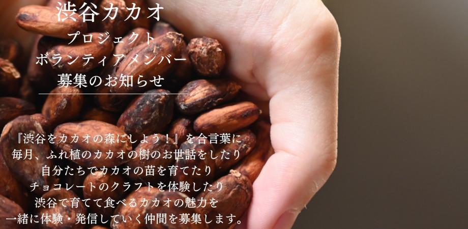 渋谷カカオ ボランティアメンバー募集 | Peatix