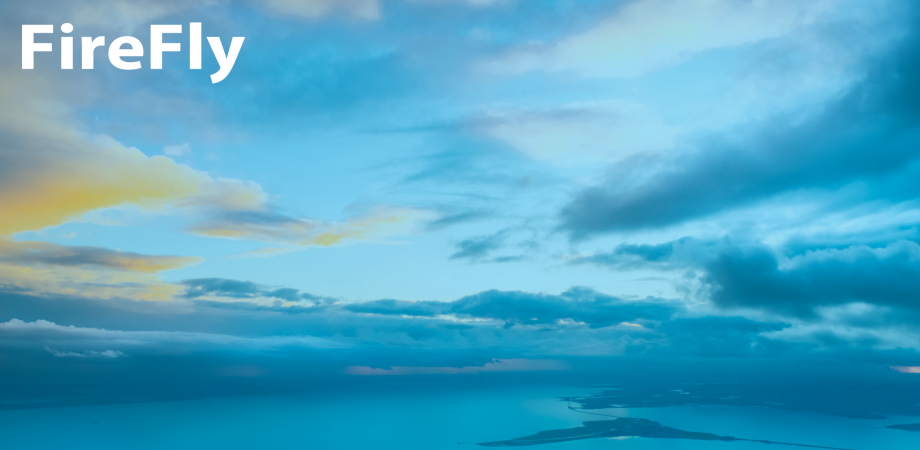 FireFlyビジター様参加費用 | Peatix