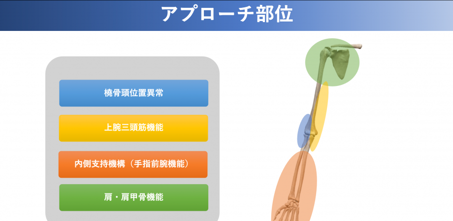 【アンコール配信】2days開催 機能解剖から考える“外側上顆炎”の戦略的思考と治療の体系化＜12月末まで視聴可能＞ | Peatix