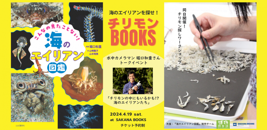 書籍トークイベント＆チリモン探しワークショップ『海のエイリアンを探せ！チリモンBOOKS』4月19日（土）開催！ | Peatix