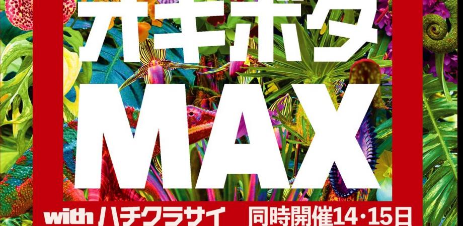 オキボタMAX with ハチクラサイ in サンシャインシティ | Peatix