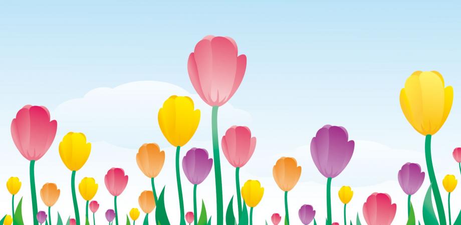 NPO法人SOCC第43回オンラインセミナー ～キャリアコンサルタントを支える取組みのひとつ『PCAGIP(ピカジップ)』のご紹介～ | Peatix