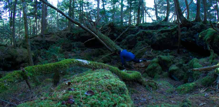 小泉明郎 『火を運ぶプロメテウス』5月18日鑑賞チケット Meiro Koizumi “Prometheus the Fire-Bringer” May 18 admission ticket ...