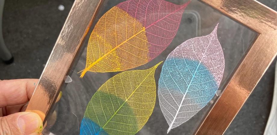 6/28(土)アークヒルズマルシェ | Peatix