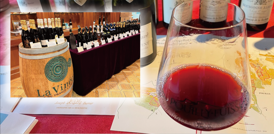 店頭試飲即売会 ～みんな大好きピノ・ノワール特集～ | Peatix