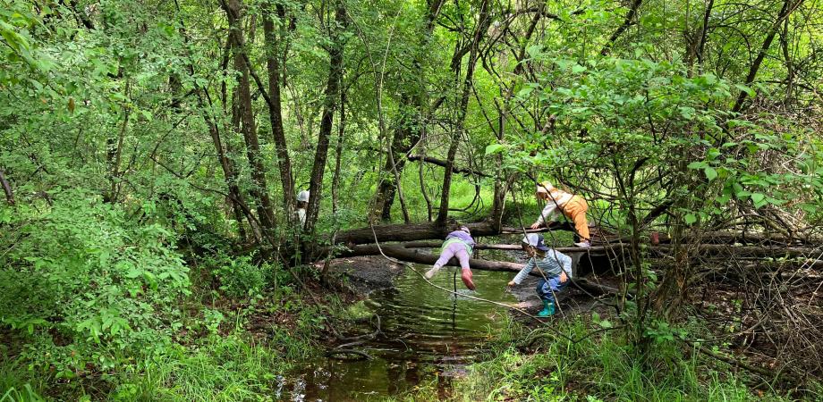 軽井沢風越幼稚園 体験会 #5 | Peatix