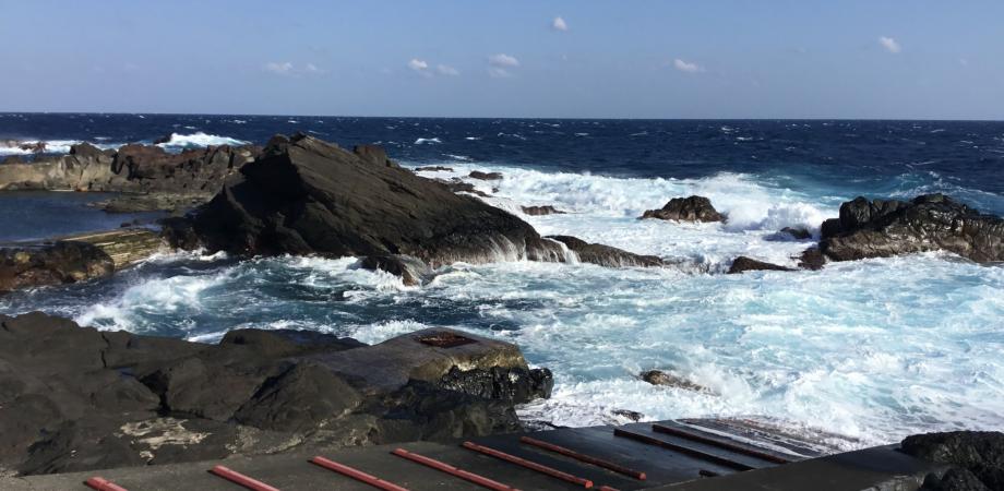 2025学校図書館研修講座 | Peatix