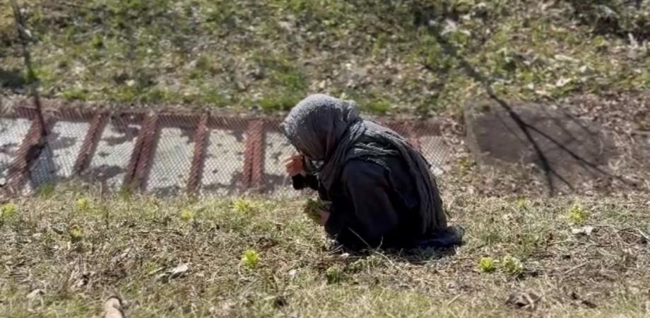 くすしきOpening Act SOU vol.3 【山の匂い、ゆく先の匂い】 | Peatix